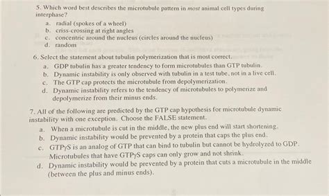 Solved 5 Which Word Best Describes The Microtubule Pattern