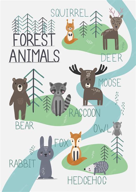 Premium Vector Cute Vector Zoo Poster With Animals Of The Forest In