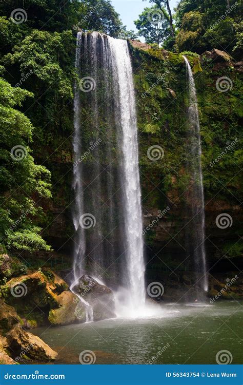 Cascade Misol Ha Près De Palenque Chiapas Mexique Photo Stock Image