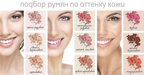 Как правильно наносить румяна на разные формы лица