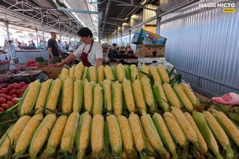 В Днепре упали цены на молодую кукурузу горожане скупают мешками Городской сайт Днепра