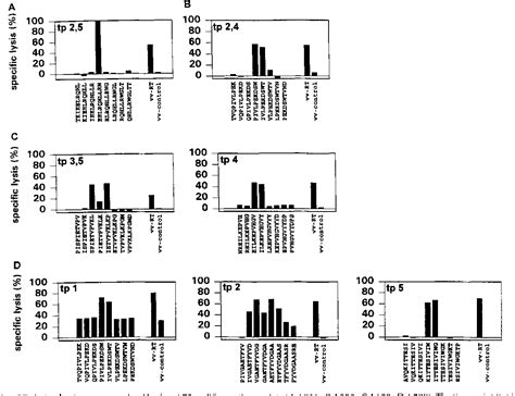 Figure 2 From Hiv 1 Reverse Transcriptase Specific Ctl Against