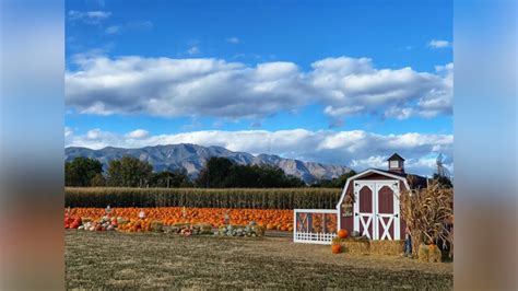 The Pick Of The Patch A Guide To The Best Pumpkin Patches In Southern Colorado