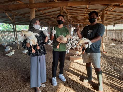 Outing Class Atourin Outing Class Atourin