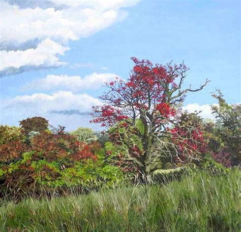 Irish Artist Peter Mcsweeney Cork