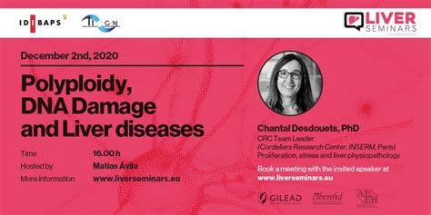 Polyploidy Dna Damage And Liver Diseases Hospital Clínic Barcelona