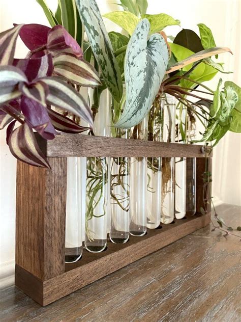 Diy Test Tube Propagation Station