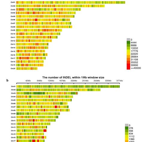Distribution Of Single Nucleotide Polymorphisms Snps A And Indels Download Scientific