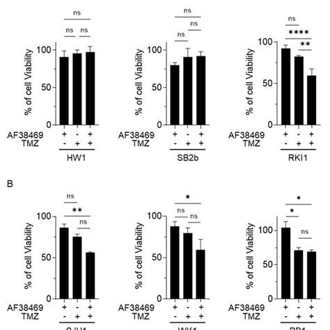 Sortilin Targeting Effect In Gbm Cell Growth Assay Cell Growth Was Download Scientific Diagram