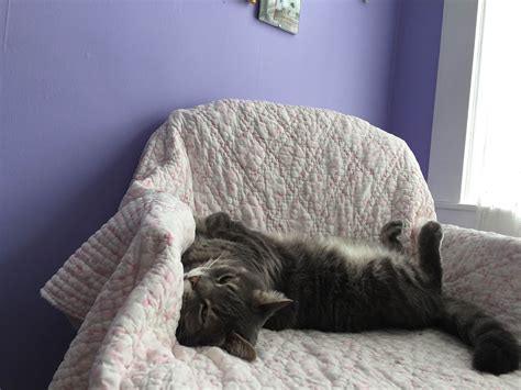 Chris Mastermans Writing Space The New Quarterly