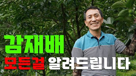 감 재배에 대한 모든 것을 알려드리겠습니다 ㅣ감농장 체험교육 ㅣ 감 재배 교육 비대관리 방제 수형 접목 등 YouTube