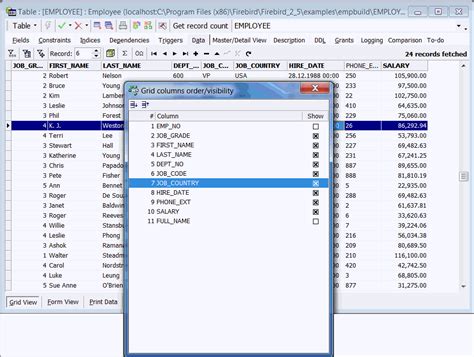 The Database Experts Doc Table Editor