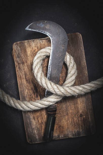 420개 이상의 빌훅 이미지 스톡 사진 그림 및 Royalty Free 이미지 Istock