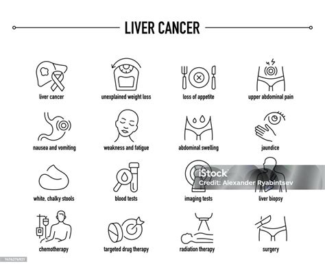 간암 벡터 아이콘 세트입니다 라인 편집 가능한 의료 아이콘 간암에 대한 스톡 벡터 아트 및 기타 이미지 간암 아이콘 C 형 간염 Istock