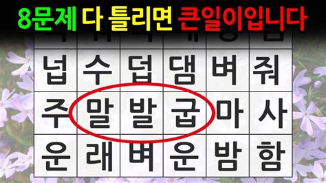 모든 사람이 다 찾지는 못해요 숨은단어찾기 치매예방 치매테스트 단어퀴즈 Youtube