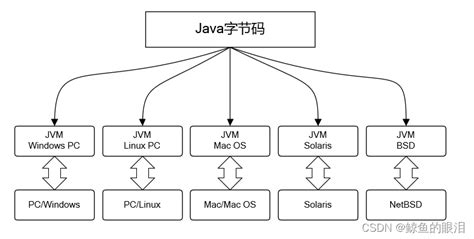 java常见笔试题之jdkandjreandjvm分别是什么以及三者之间的关系 笔试jvm csdn博客
