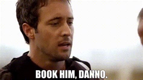 Book Him Danno 