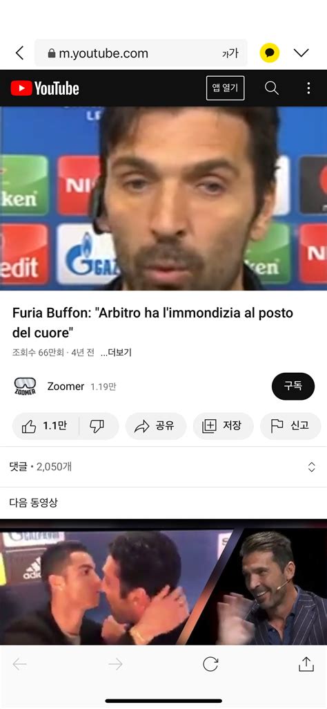 앤서니 테일러에 대한 부폰 선생님 말씀 유머 움짤 이슈 에펨코리아