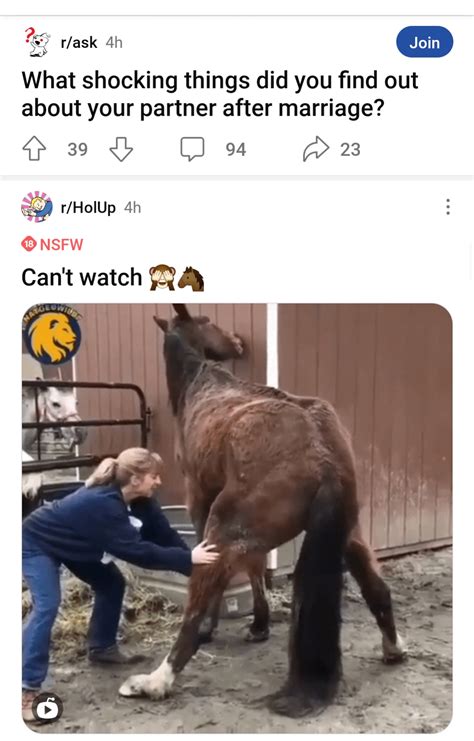 Post Above Lady Wanking Off A Horse Is Appropriate Rjuxtaposition