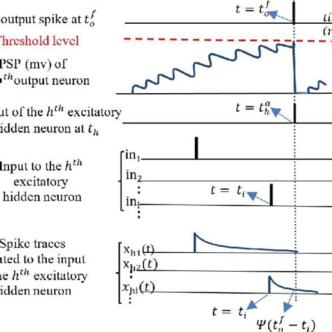 Synaptic Weight Between Ith Input Neuron And The Hth Excitatory Hidden