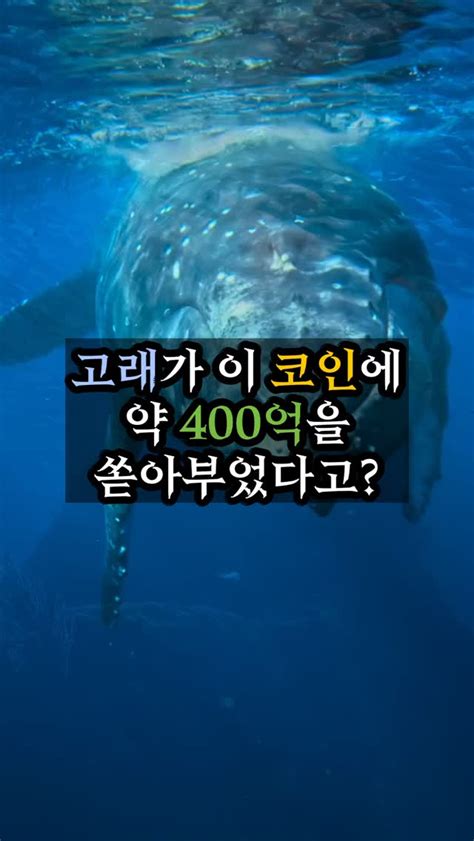 야차남 비트코인 이제 떡상한다 🏕최근 비트코인이 5 상승을 했어 🏕금리 인하 기대감때문인데 9월에 인하가 되면 어디까지 오를까 🏕금리가 25까지만 내려와도