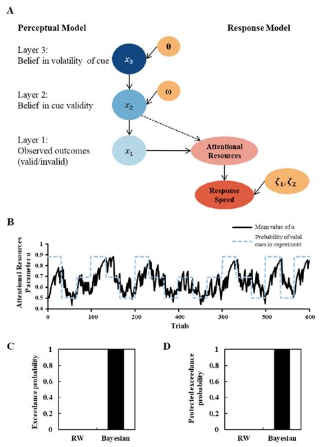 Computational Model Structure And Results A The Perceptual Model Download Scientific Diagram