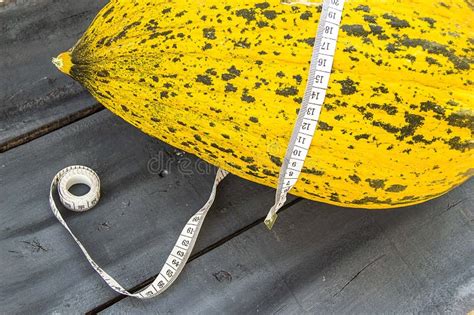 Full Immature Small Melons And Fully Ripe Melon Pictures Stock Image