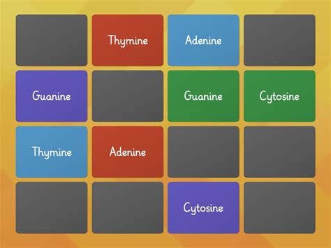 DNA Complementary Base Pair Matching Pairs