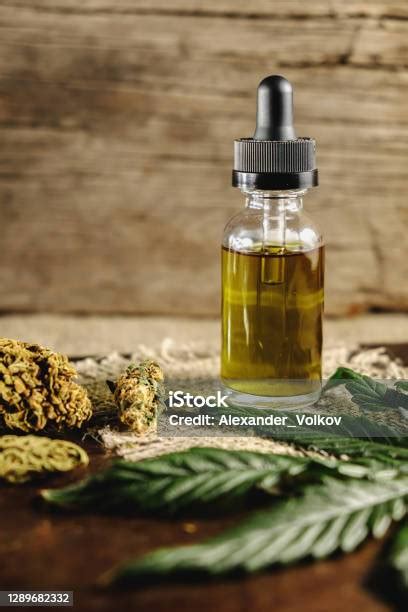 대마초 농축 Cbd의 한방울이있는 유리병은 말린 마리화나 싹과 녹슨 나무와 자루 배경에 대마초 잎 옆에 서 있습니다 복사 공간을 복사합니다 수직 Revolution에 대한