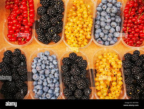 Types Of Berries