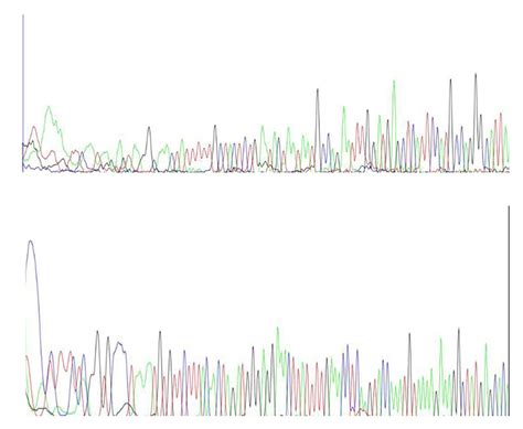 sequencing analyses to validate next generation sequencing ngs download scientific diagram