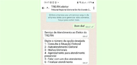 Tre Rn Disponibiliza Atendimento Ao Eleitor Via Whatsapp Hilneth Correia