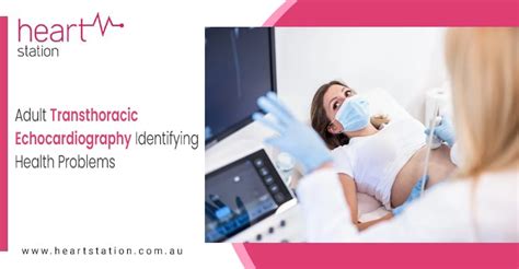 Adult Transthoracic Echocardiography Identifying Health Problems Heartstation