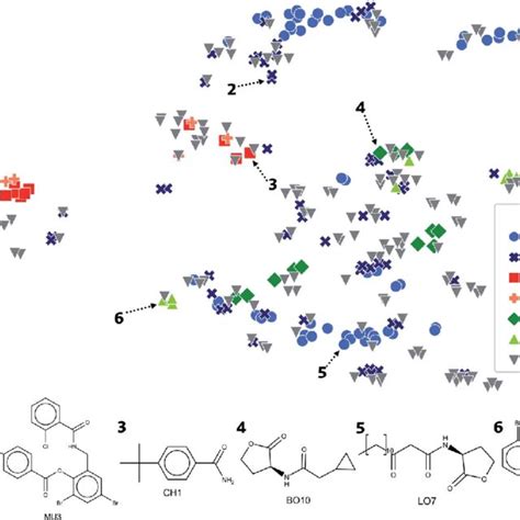 Visual Representation Of The Structural Chemical Space Obtained By Download Scientific Diagram