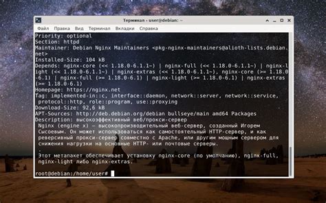 Установка Nginx в Debian Losst