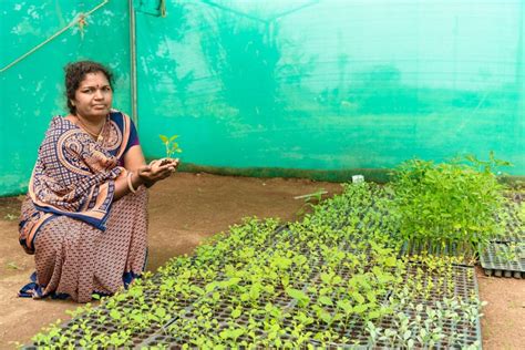 Successful Examples Of Sustainable Development Initiatives Worldwide