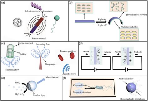 Schematic Diagram Of The Actuation Principle Of Soft Microrobots