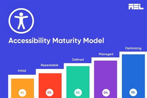 a guide to the accessibility maturity model ael data