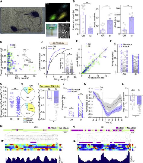 Neural Circuits And Activity Dynamics Underlying Sex Specific Effects Of Chronic Social
