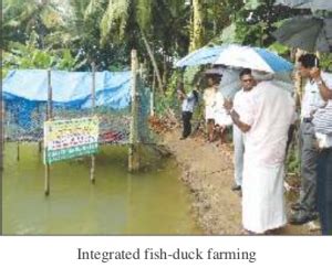 Integrated Farming System Modules Agrisetu