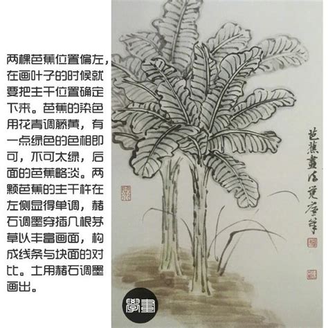 國畫入門教程樹法點景法芭蕉的畫法 每日頭條
