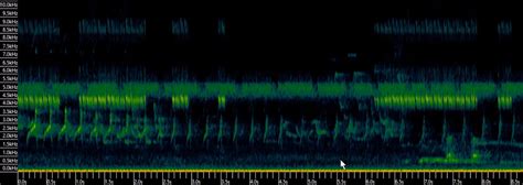 Capturing Bird Calls And Other Wildlife Sounds With Bioacoustics