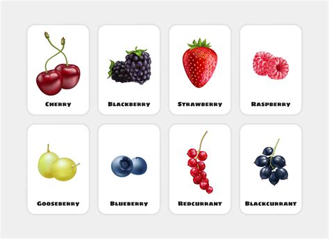Fresh Berry Flashcard Set Blackberry Blueberry Raspberry Strawberry