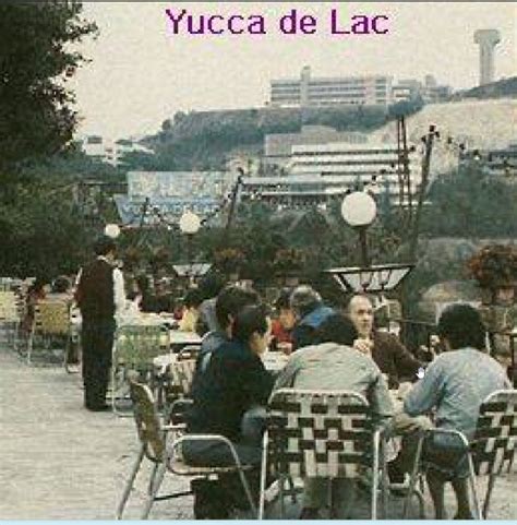 1970s Yucca De Lac Gwulo
