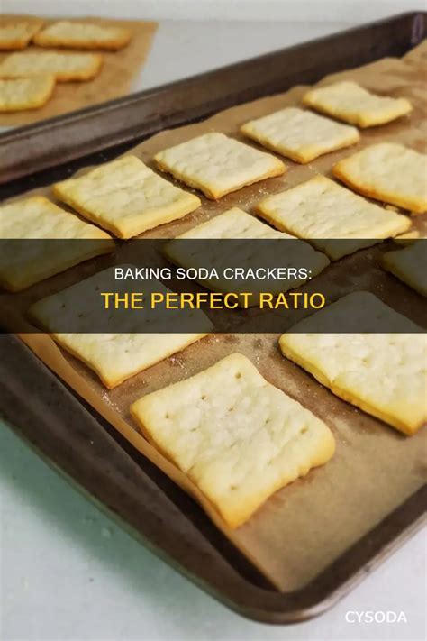 Baking Soda Crackers The Perfect Ratio Cysoda