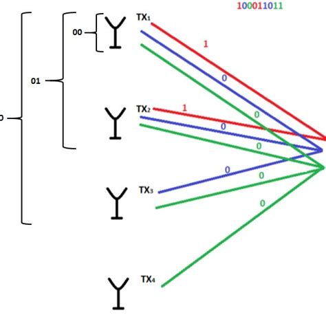Simple Visualization Of The Antenna Activation Process And Mapping In