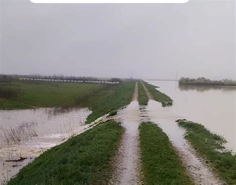 Поплављена домаћинства у Чатрњи Radio Televizija Gradiška 98 8 Mhz