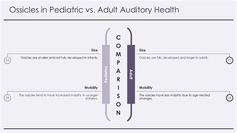 Ossicles In Pediatric Vs Adult Auditory Health Facial Artery Ppt Mockup Acp Ppt Example