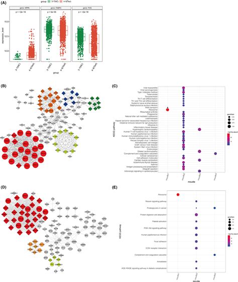 Ppi Network And Module Analysis For Degs In Cardiomyocytes And