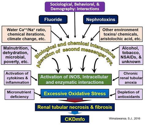 Conceivable Multiple Interactions Multifactorial Etiology And The Download Scientific Diagram